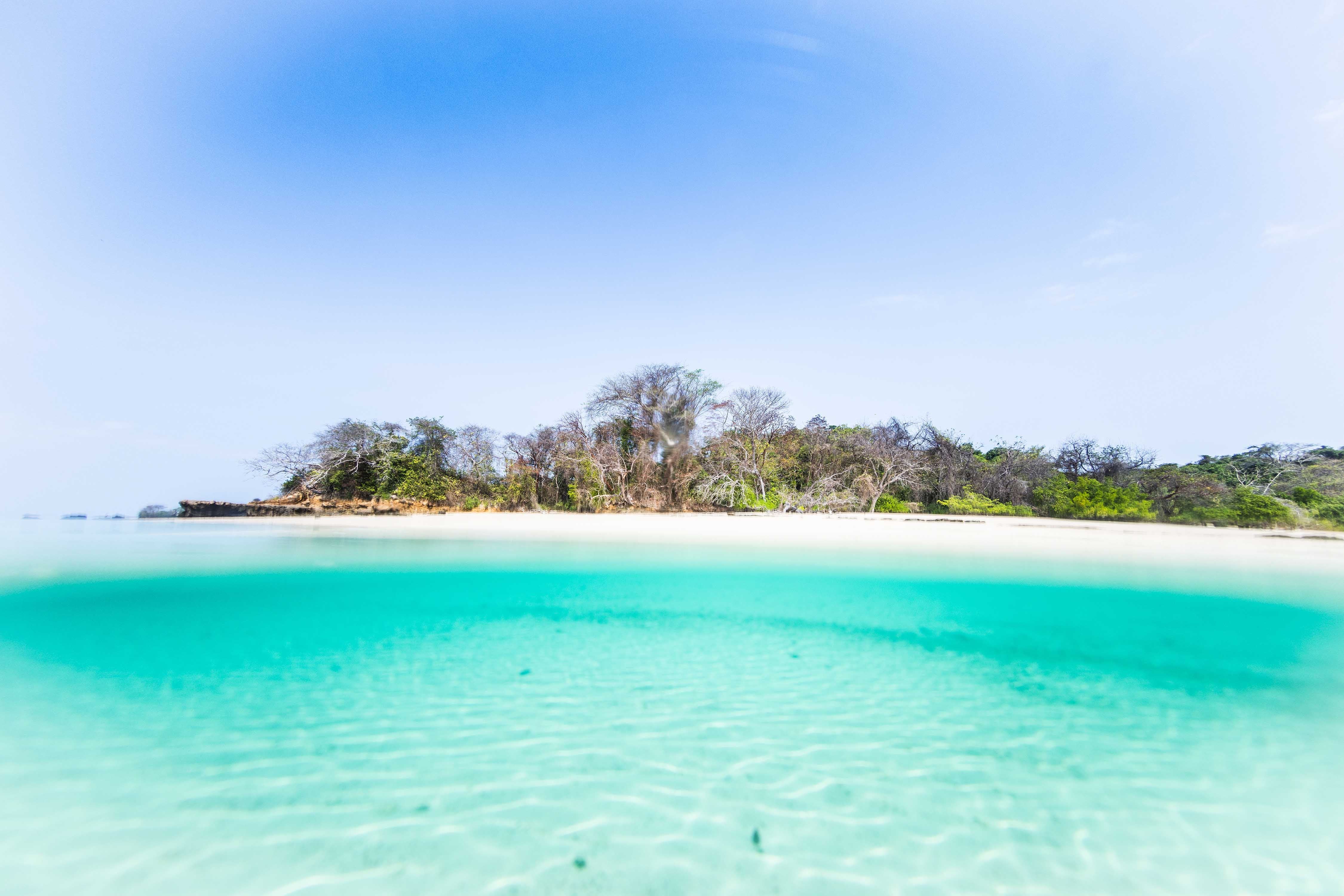 A Good Day | Kaikoa – kaikoa.com
