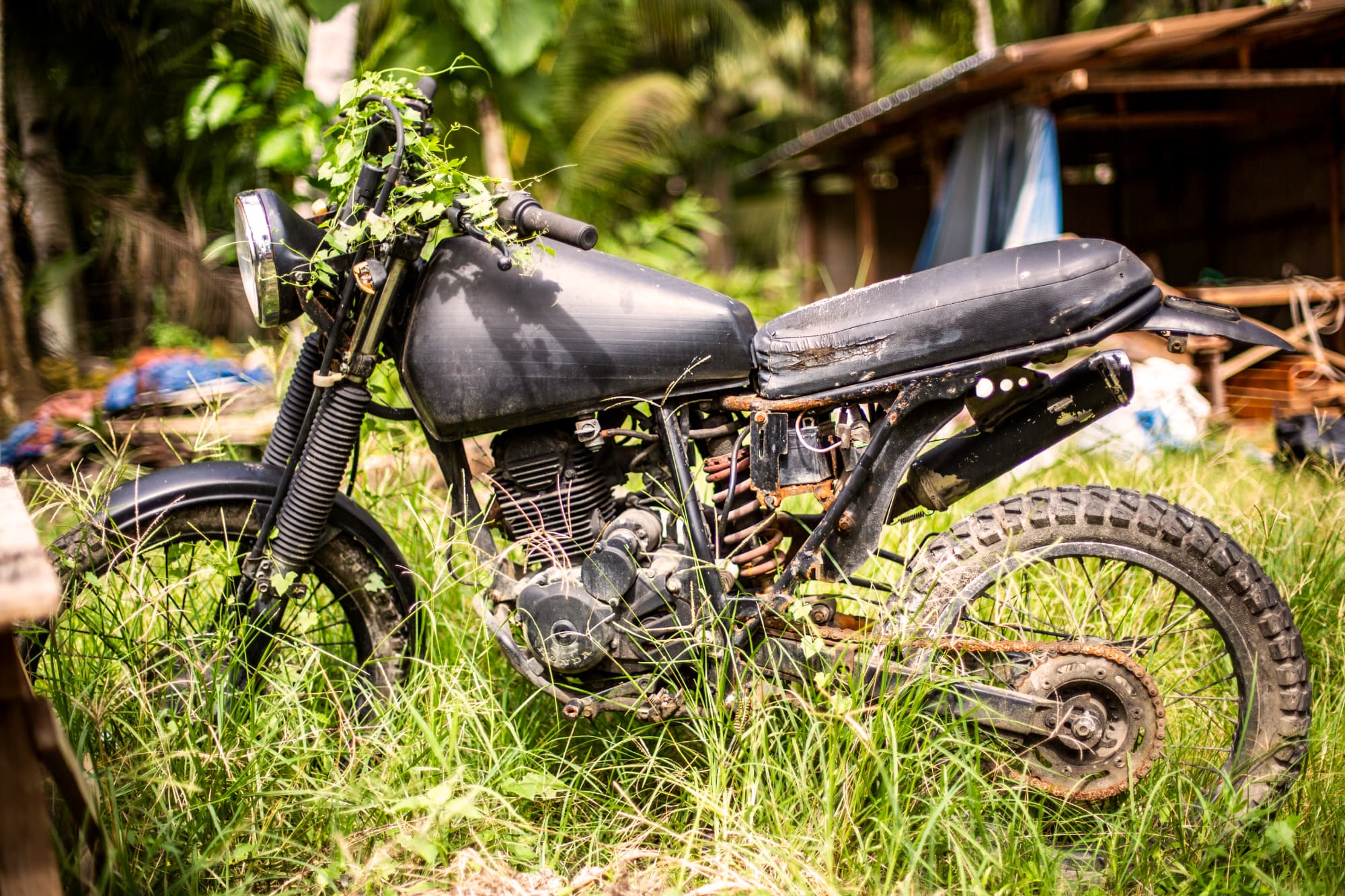 Jungle Bike | Kaikoa – kaikoa.com